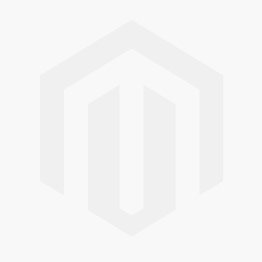 Forex – Kever - Insect - Vintage | Canvascompany.nl